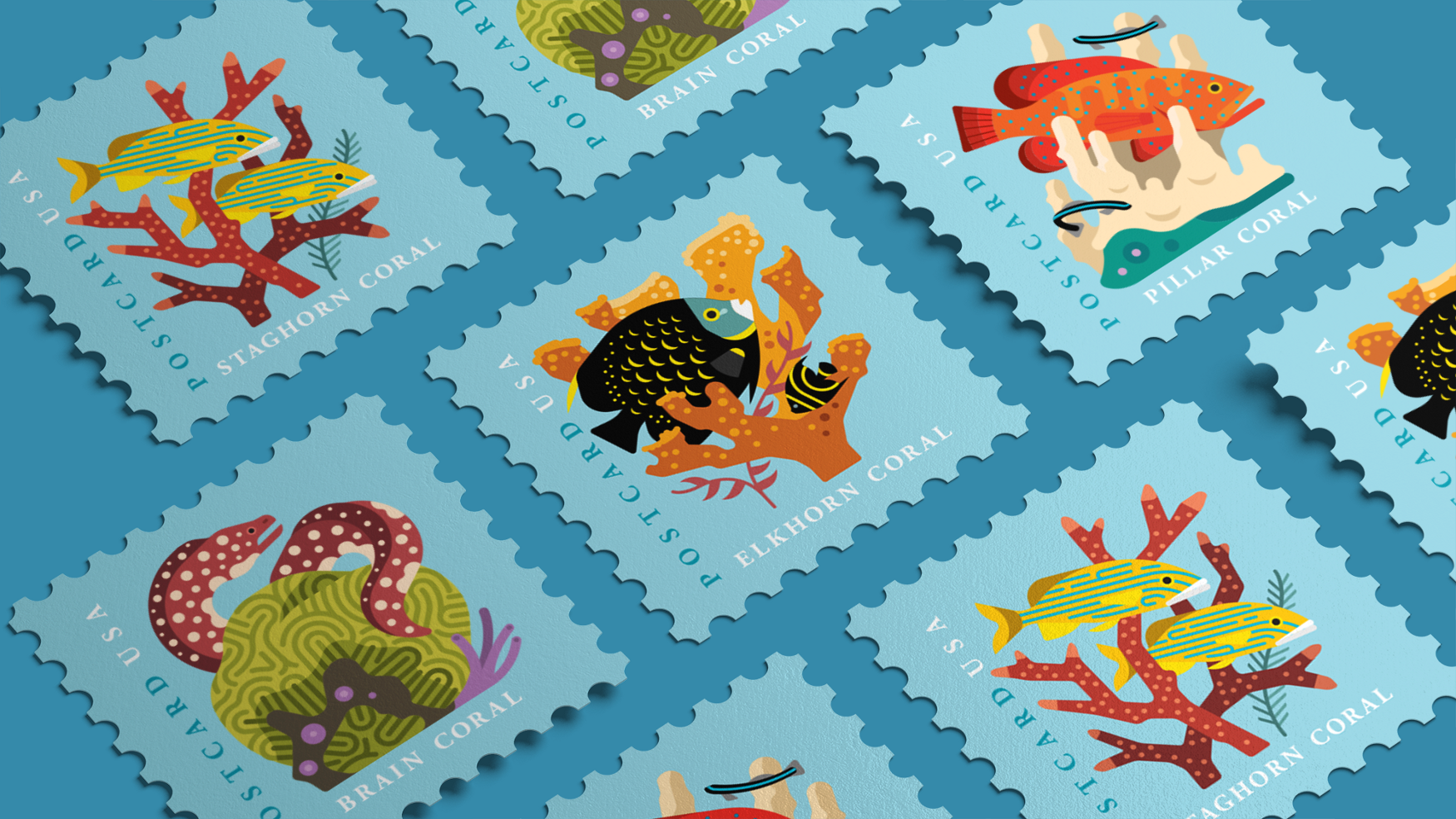 USPS Coral Reefs Postcard 2019 Forever Postage Stamps - Sheet of 20 Po ...